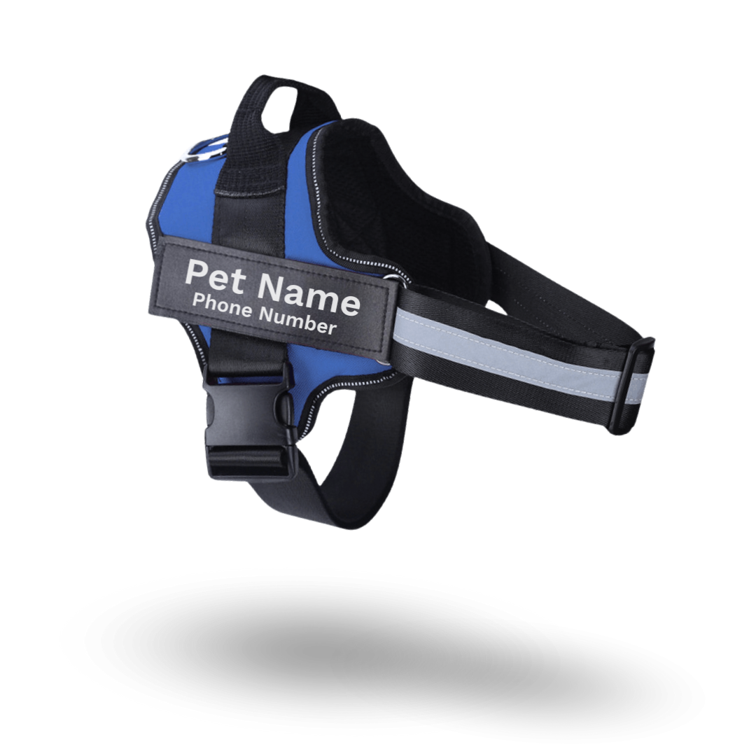 Safe Harness - Ultimate No Pull Custom Dog Harness